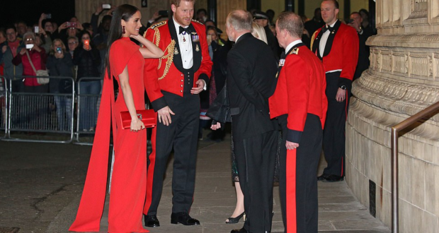 Meghan And Prince Harry Sat On The Ground During Their Dog's Operation ...