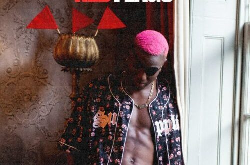 Ruger - Red Flags | NaijaVibe